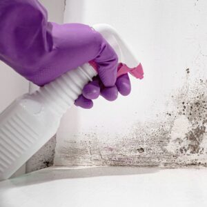 How To Stop Damp In Your Wardrobe: A Guide By DAY & KNIGHT